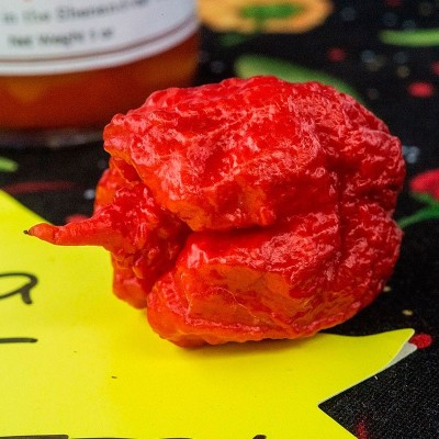Semillas Pimiento Carolina Reaper uno de los pimientos más picantes