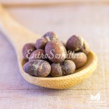 Semillas de Baobab o Adansonia digitata | Entresemillas