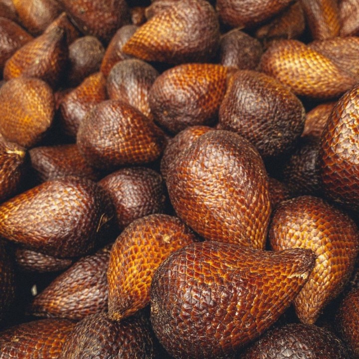 Salak - Semillas