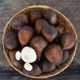 Salak - Semillas