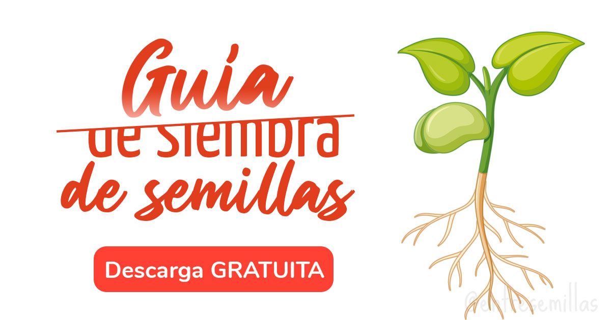 Guía de siembra de semillas GRATUITA | Blog EntreSemillas